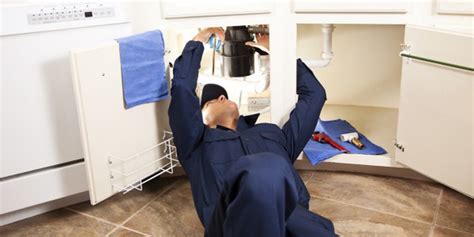 7 Common Garbage Disposal Issues Garbage Disposal Problems