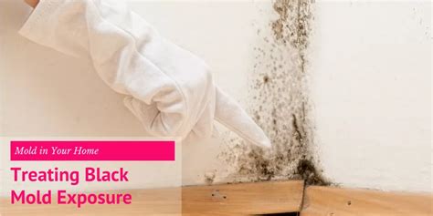 Mold In Your Home And Treating Black Mold Exposure Enviroklenz