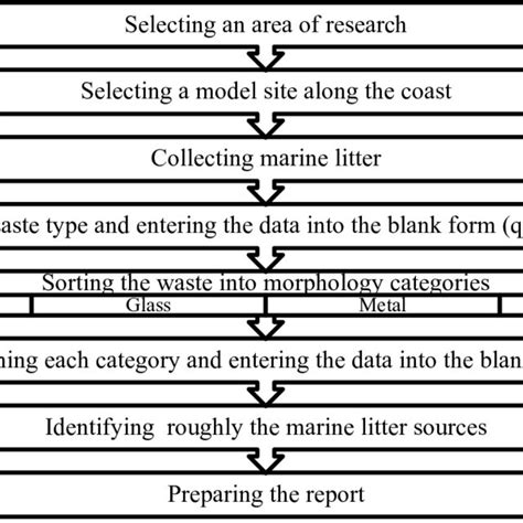 algorithm for conducting monitoring the pollution with marine litter