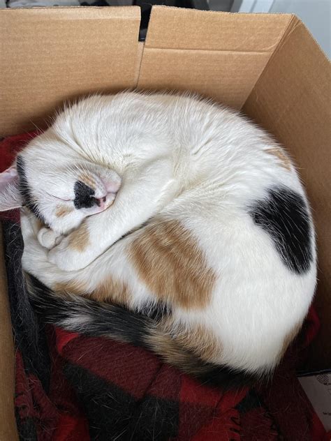 Sleepy Album On Imgur Sleepy Album On Imgur