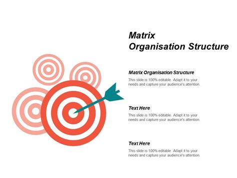Matrix Organisation Structure Ppt Powerpoint Presentation Infographics Show Cpb Template