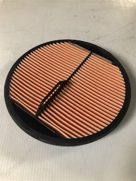 Donaldson P547520 Filter Air