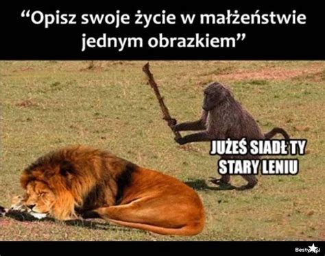 Zobacz Najlepsze Memy O Małżeństwie Śmiech Do łez Gwarantowany Niezaleznapl