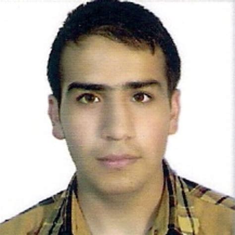 Ali Lashini Iran University Of Science And Technology Tehran