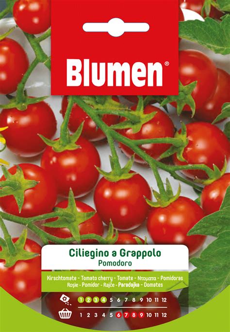 Pomodoro Ciliegino A Grappolo Blumen