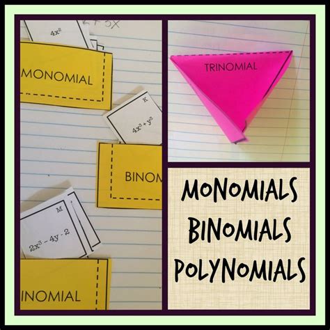 Monomials Binomials And Trinomials Notes And Card Sort High School