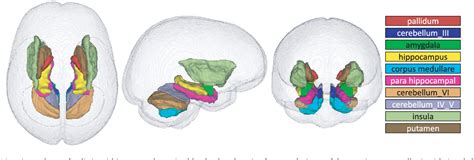 Figure 6 From Deep Learning Identifies Morphological Determinants Of