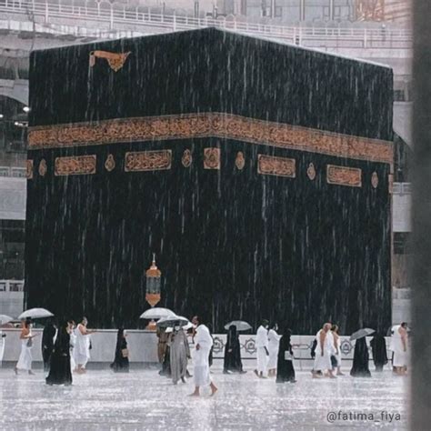 جوانی ئیسلام