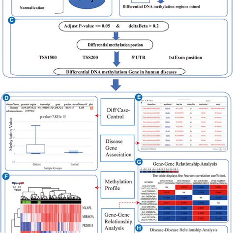 The Pipeline To Identify Specific Differential Dna Methylation Gene Download Scientific