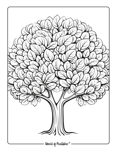 Tree Graph Coloring