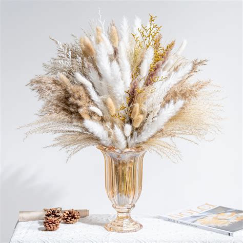 Natural Dried Pampas Grass Decor Hicream 101 Pcs Pampas Grass Bunny