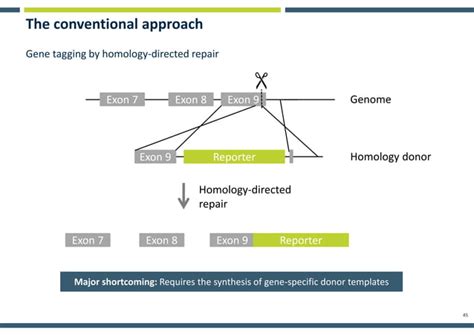 Lessons Learned From High Throughput Crispr Targeting In Human Cell