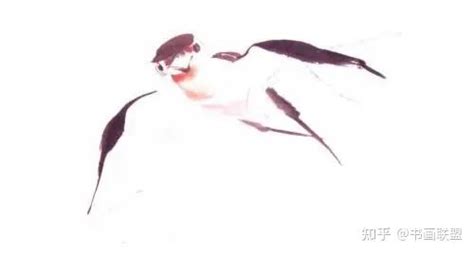 燕子写意花鸟画绘制步骤图示 知乎