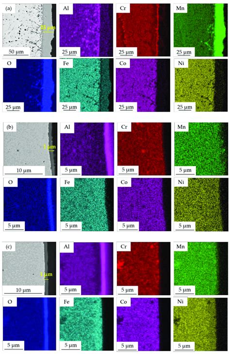 sem eds element distribution maps across the oxide layers formed