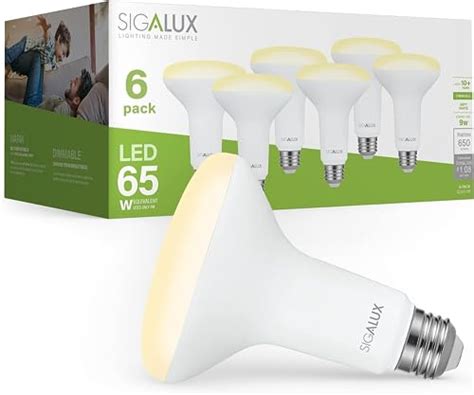 The 10 Best Br30 Led Light Bulbs