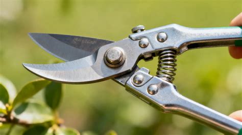 Choosing The Right Pruning Shears For Wholesale Buyers Scarecrow