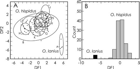 —distribution of discriminant function df scores for 141 specimens of