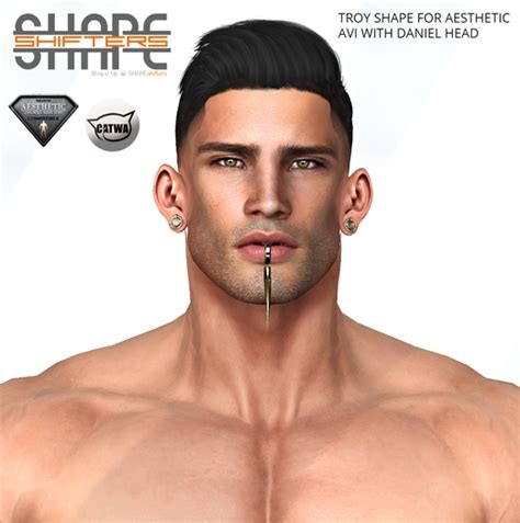 Second Life Marketplace Shapeshifters Troy Shape For Aesthetic Avi