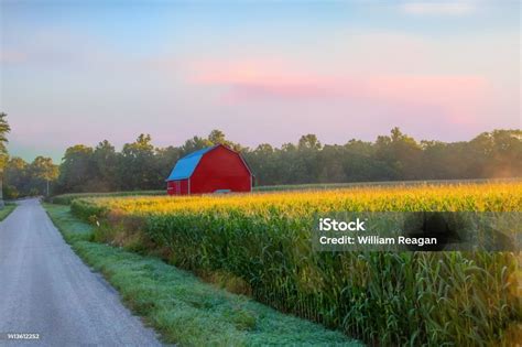 Country Road With Red Barncorn Field Lit By The Rising Suncass County