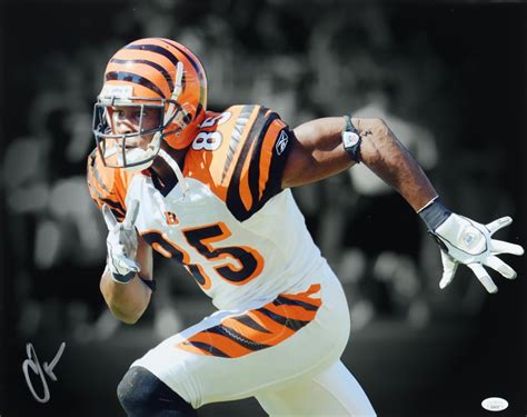 Chad Ochocinco Johnson Signed Bengals 16x20 Photo Jsa Pristine