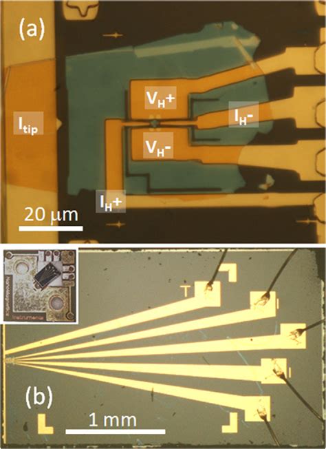 A Expanded View Of The Active Area Of The Completed Hall Sensor The