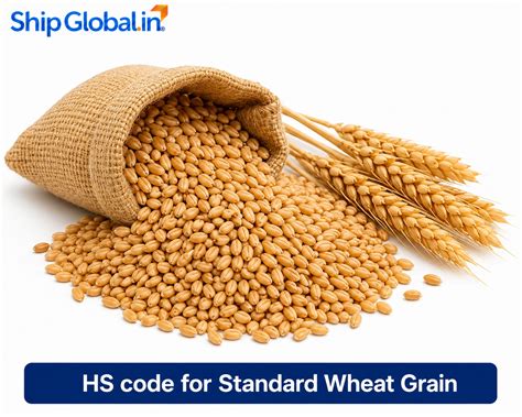 Hs Code For Wheat And Gst Rates