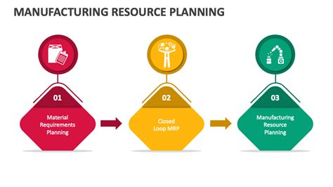 Plant Production Resource Allocation At Lanny Rivera Blog