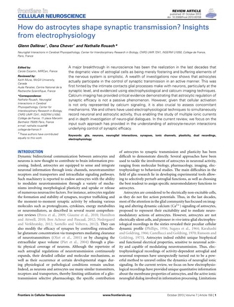 Pdf How Do Astrocytes Shape Synaptic Transmission Insights From