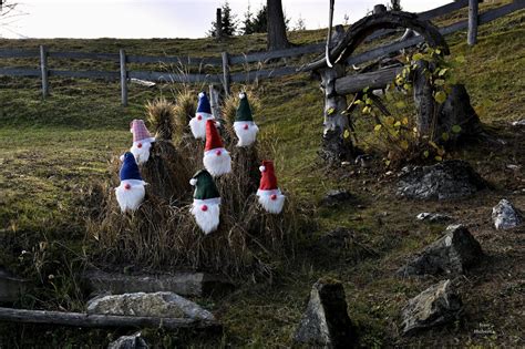 Wo Ist Das Schneewittchen