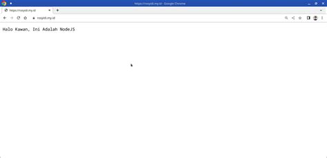 Cara Install NodeJS Di VPS CPanel Melalui WHM Rumahweb