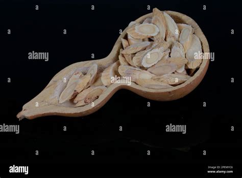 Chinese Herbal Medicine Astragalus Membranaceus On A White Background