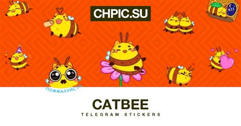 Catbee Animated Telegram Stickers