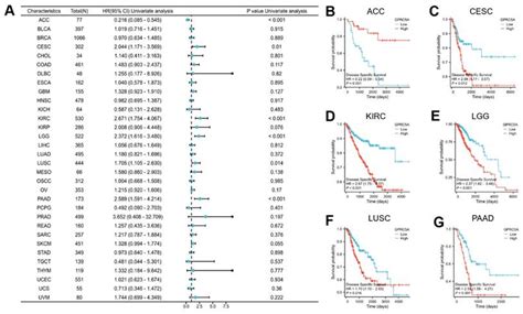 Exploring The Prognostic Value And Immune Infiltration Patterns Of