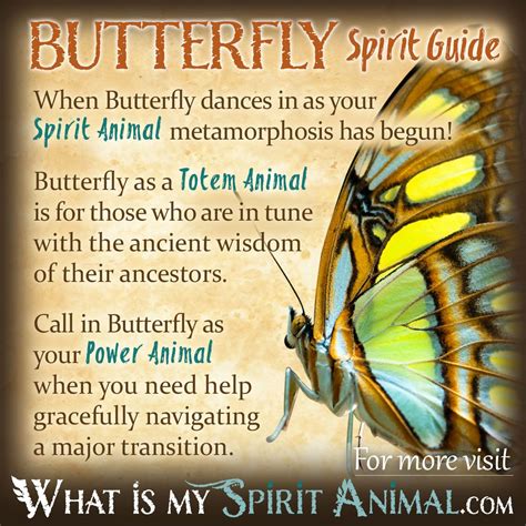 Spirit Totem Power Animal Meanings Artofit
