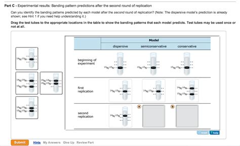 Solved Experimental Results Banding Pattern Predictions