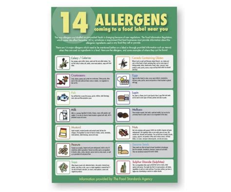 14 Allergens Staff Safety Guide Legal Requirement For Restaurants A3