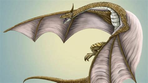 Why Did Aegon Iis Dragon Sunfyre Not Appear In Hotd S1