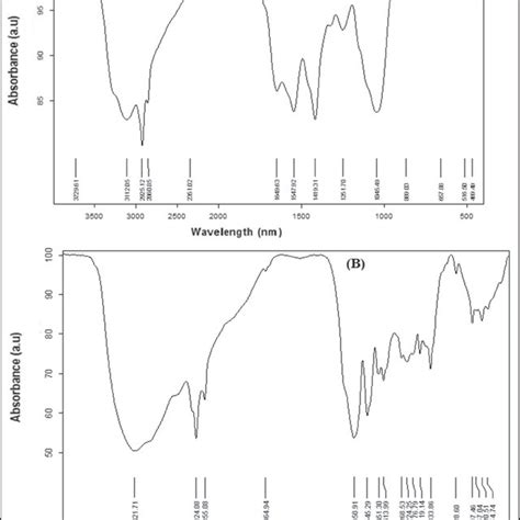 Bet Analysis For A Platensis Nps Bjh Adsorption Dsr A Download Scientific Diagram