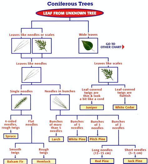 Mr Zwambags Education Station Diversity Of Living Things