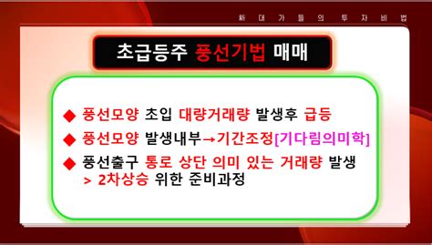 ★풍선기법★ 신풍 투자전략 투자정보 전문가방송 팍스넷 증권포털