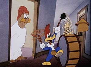 Woody Woodpecker And Friends Classic Cartoon Collection Dvd Review