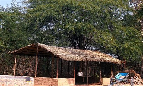 Aarany Jungle Resort And Adventure 𝗕𝗢𝗢𝗞 Sonkach Hotel 𝘄𝗶𝘁𝗵 𝗙𝗥𝗘𝗘 𝗖𝗮𝗻𝗰𝗲𝗹𝗹𝗮𝘁𝗶𝗼𝗻