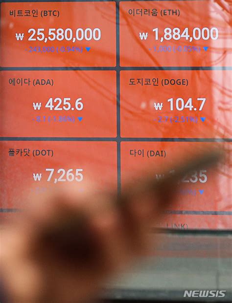 긴장하는 코인거래소대주주 심사 리스크에 발목 잡힐까 공감언론 뉴시스통신사