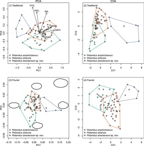 Scatter Plots From Principal Component Analysis Pca And Canonical