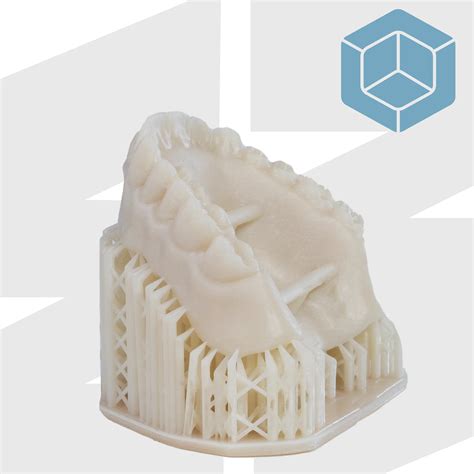 A1 Denture Try In Resin Sample Free 3d Model