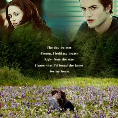 17 Best Images About Twilight