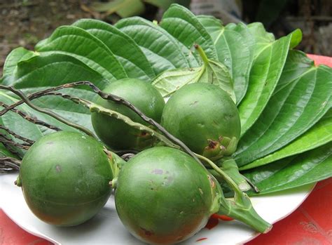 Quả Cau Lá Trầu Biểu Tượng Văn Hóa Và Tình Yêu Truyền Thống Việt