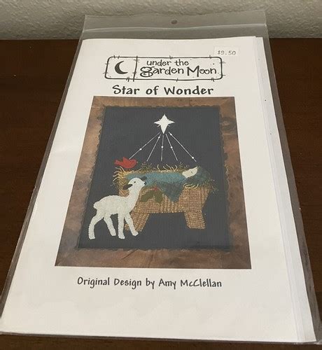 Under The Garden Moon Star Of Wonder By Amy Mcclellan Christmas 8”x10