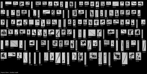 Flow Imaging Microscopy A New Analytical Capability