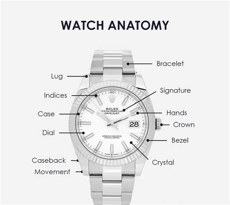 The Ultimate Beginners Guide To Luxury Watches Coveted